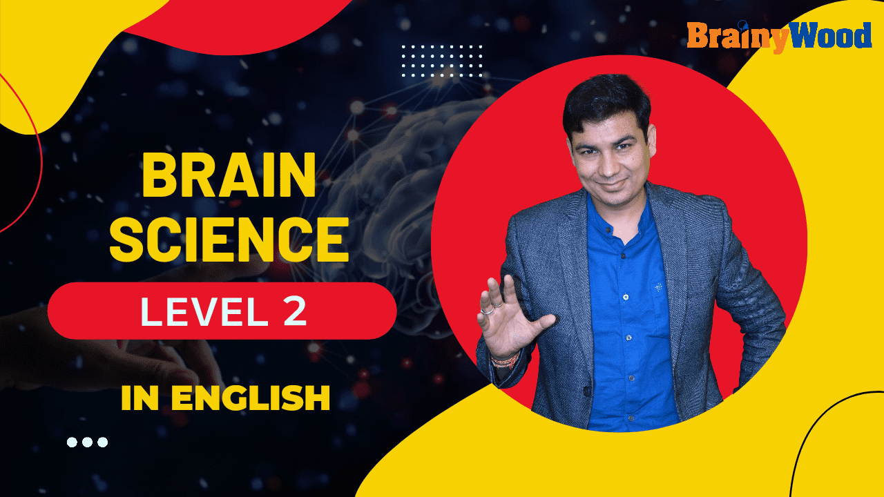 Our Courses - Brainywood
